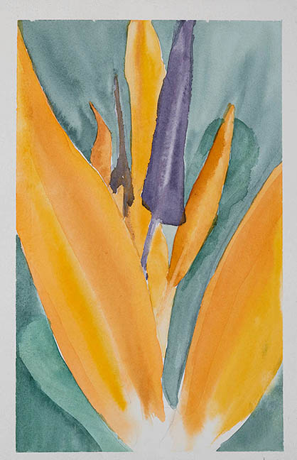 Bird of Paradise II – Candace Wilkinson Artist