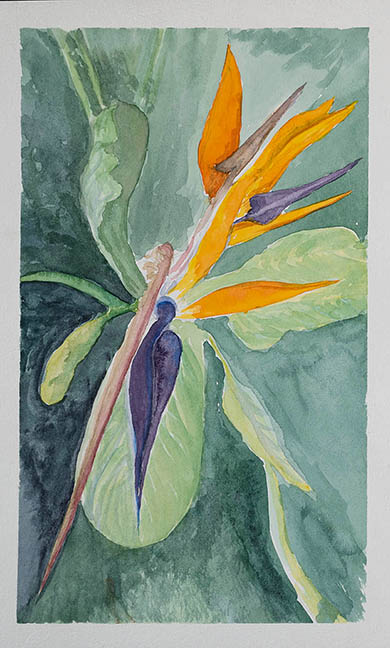 Bird of Paradise I – Candace Wilkinson Artist