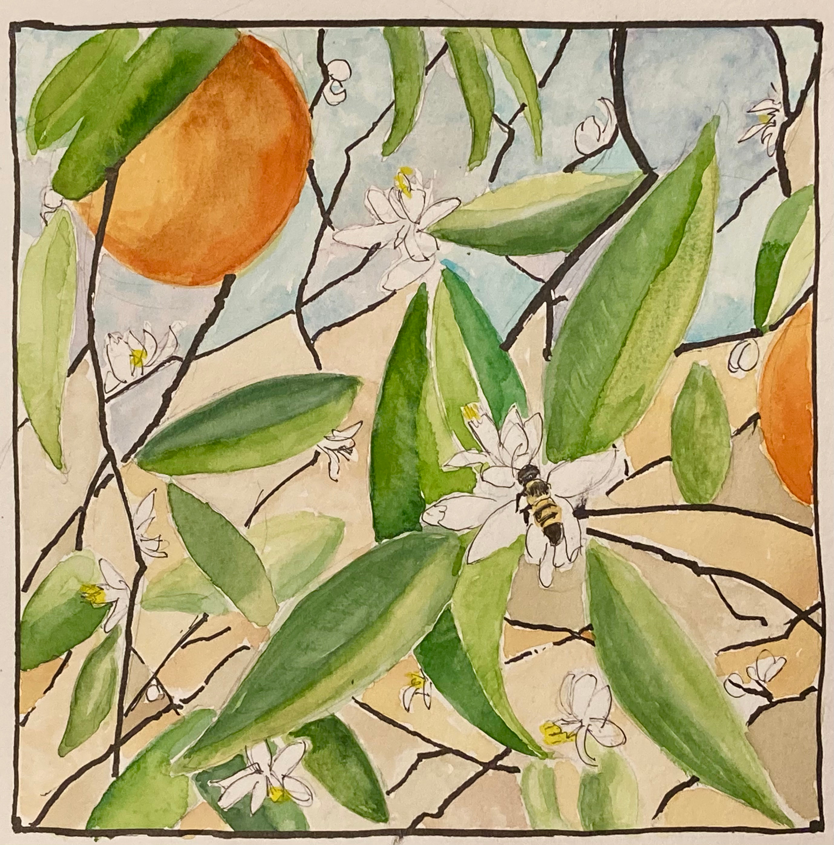 Portfolio of Note Cards – Candace Wilkinson Artist